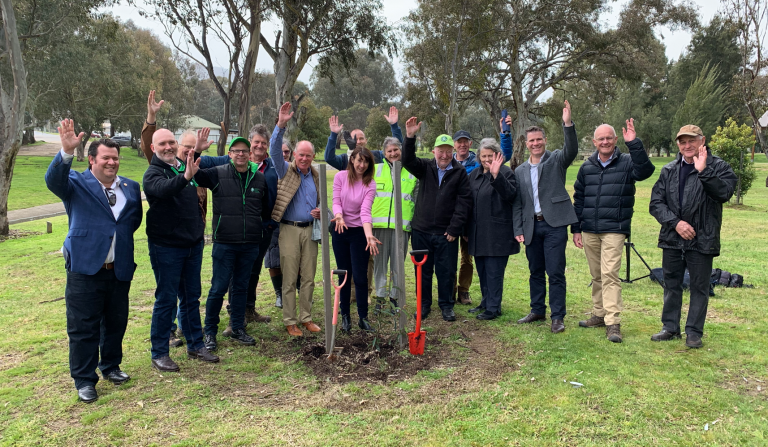 National Forestry Day celebrates forest industries’ great work - Murray ...